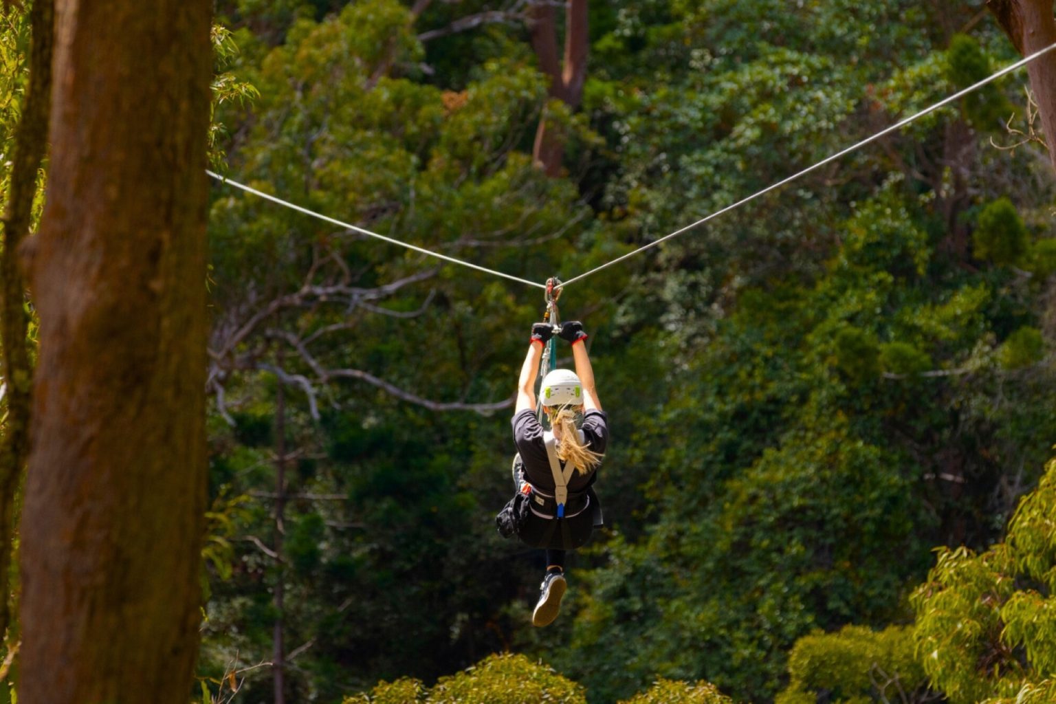 Thunderbird Park: Activities & Adventure Park Mt Tamborine QLD