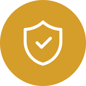 TreeTop Challenge & High Ropes for Juniors | Tamborine Mountain, QLD ...