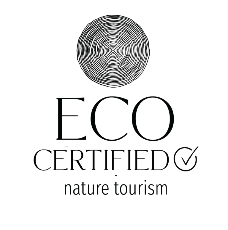 Thunderbird Park: TreeTop Challenge & High Ropes | Tamborine Mountain, QLD