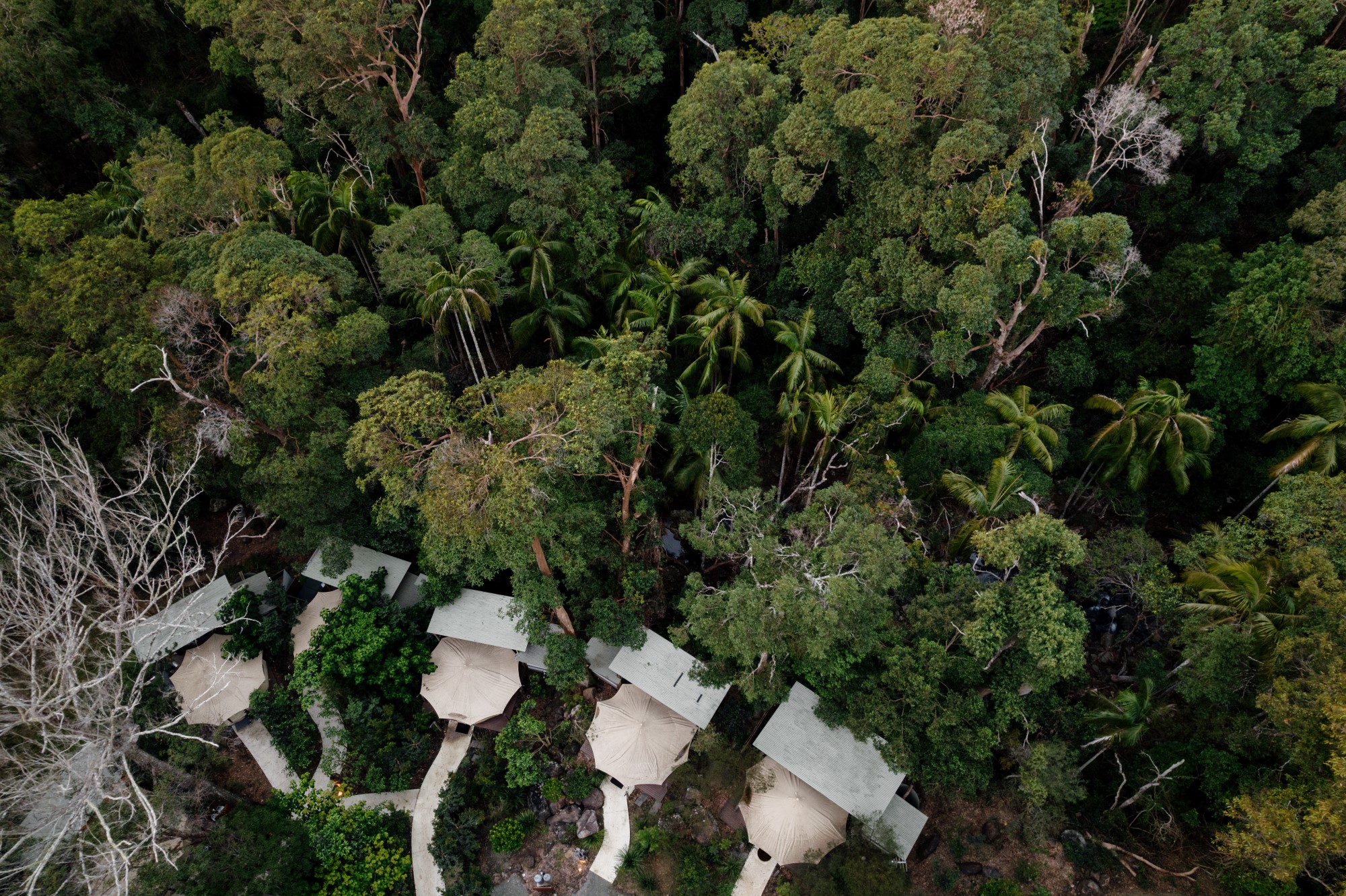 Thunderbird Park: Adventure Tours & Packages | Tamborine Mountain, QLD